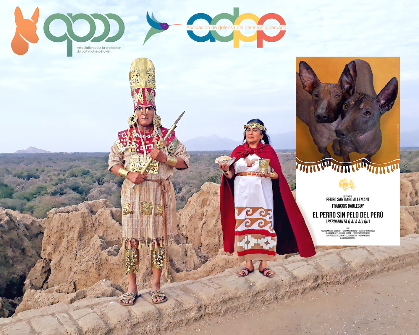 Lord of Sicán y el Perro sin pelo del Perú – Perro sin Pelo del Perú